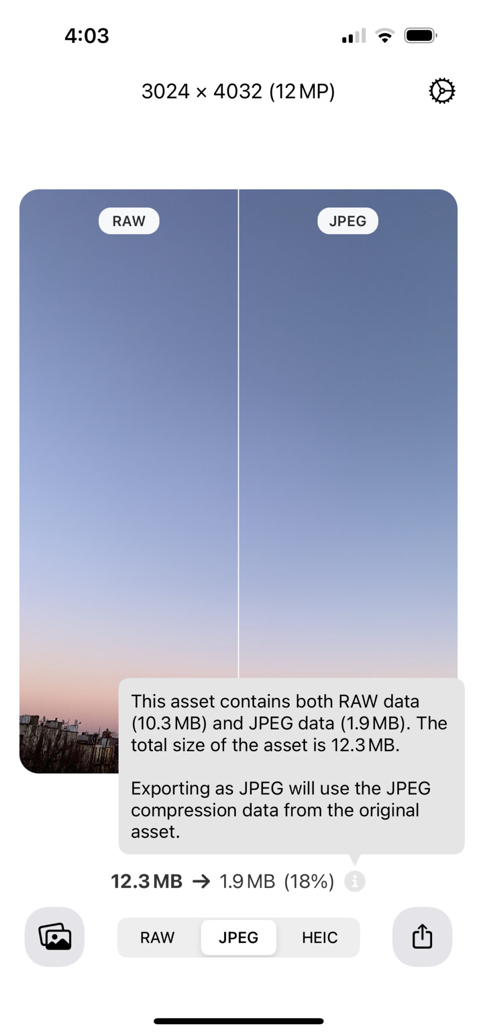 How does SMAWL handle multi-format RAW photos? (RAW+JPEG, RAW+HEIC) – Tinrocket FAQs