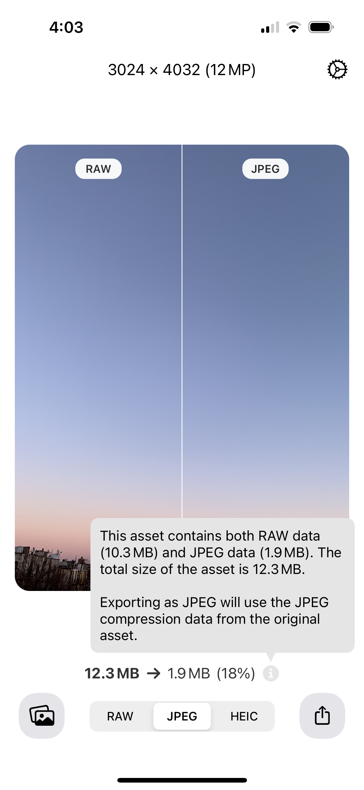 How does SMAWL handle multi-format RAW photos? (RAW+JPEG, RAW+HEIC) – Tinrocket FAQs
