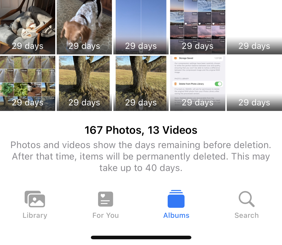 Will SMAWL delete my photos? – Tinrocket FAQs