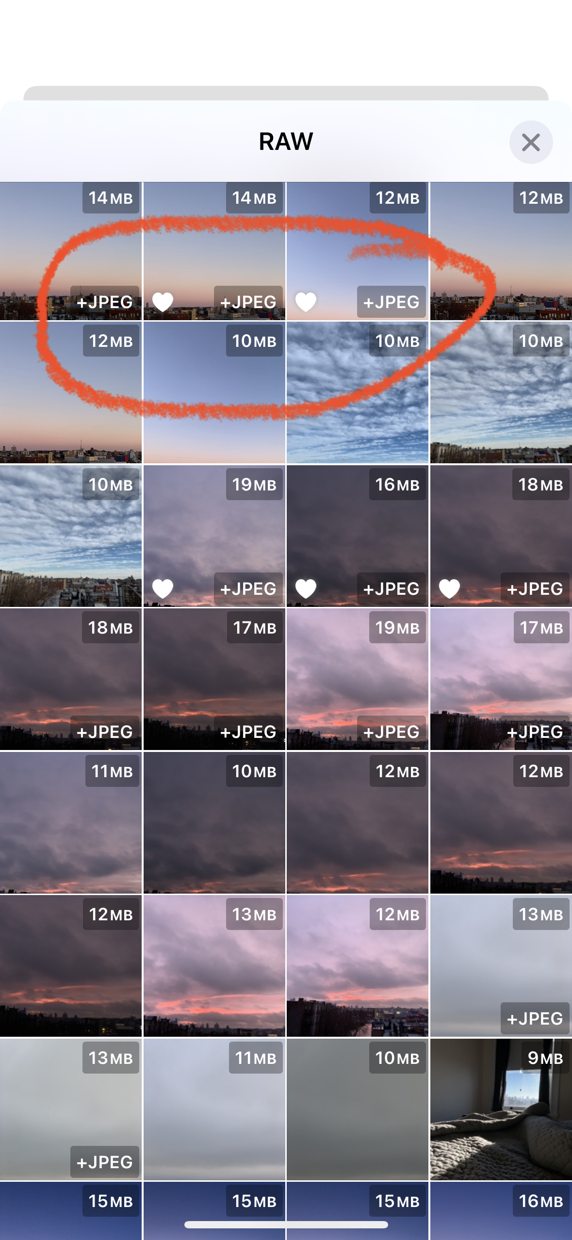 How does SMAWL handle multi-format RAW photos? (RAW+JPEG, RAW+HEIC) – Tinrocket FAQs